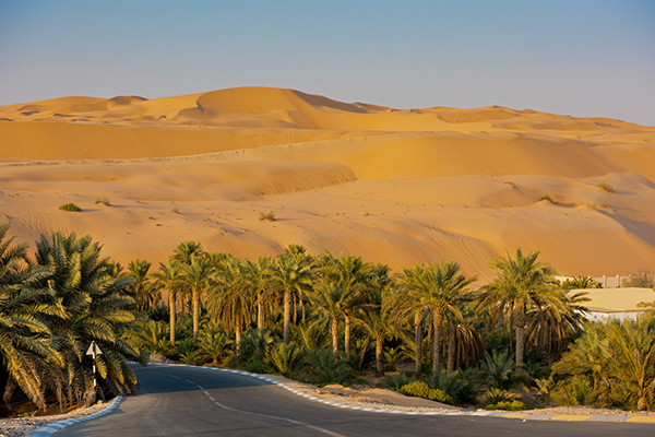 Liwa Oasis Abu Dhabi Desert Adventure Awaits Captain Dunes