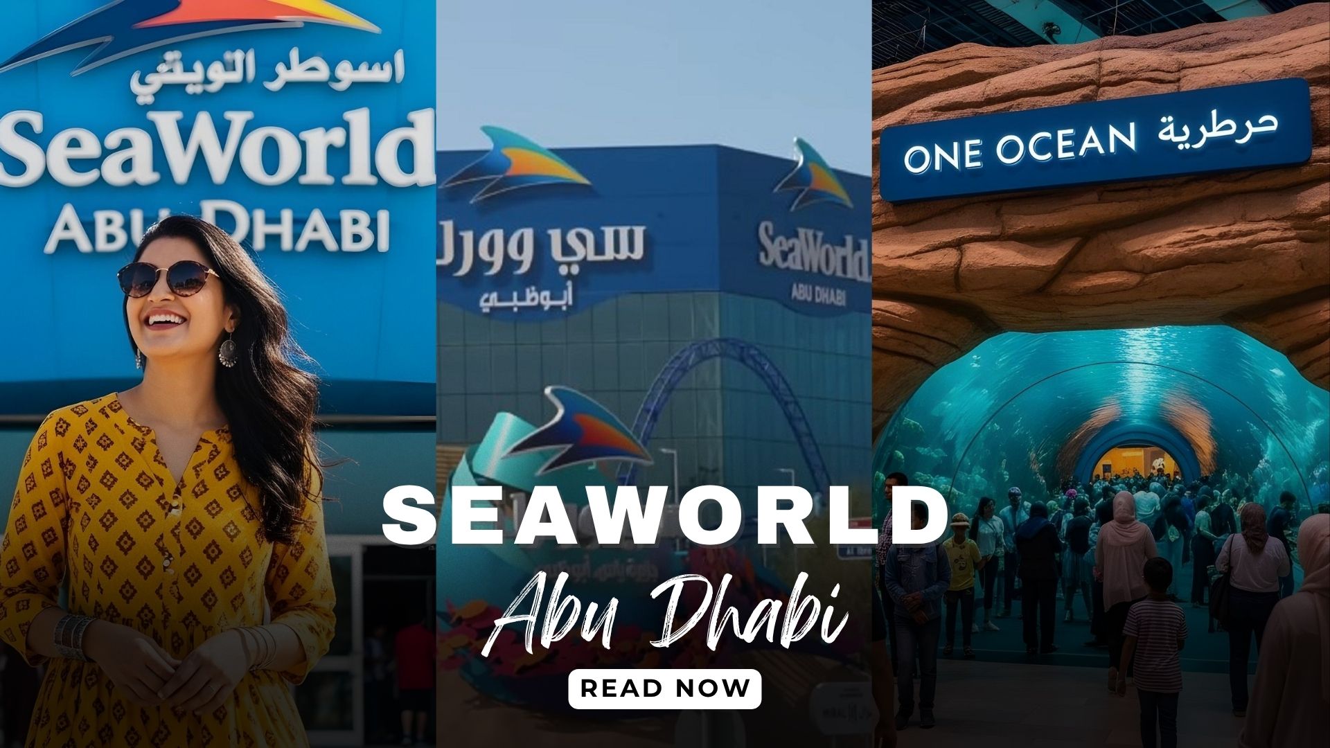 SeaWorld Abu Dhabi 2025: Rides, Tickets & Travel Guide - Captain Dunes